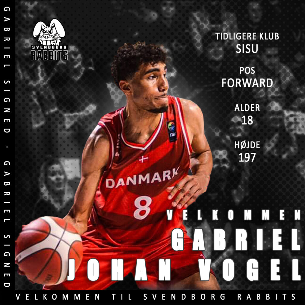 Gabriel Johan Vogel til Rabbits - Rabbits